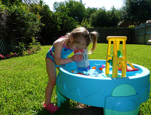 Kid Activity: Make a Water Scope - Everyday Best