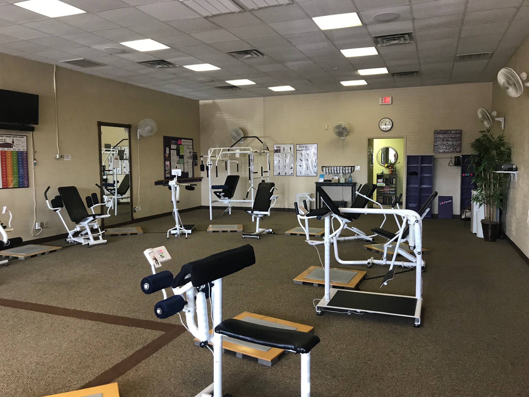 What I learned in 30 Days with Curves® - Everyday Best